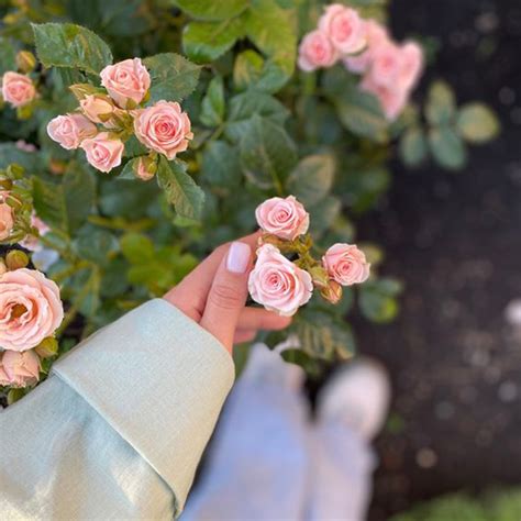 عکس پروفایل اینستاگرام دخترونه عکس پروفایل اینستاگرام پسرانه