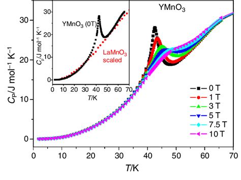 Specific Heat C P Of The Ymno 3 Sample With Temperature T Under Download Scientific