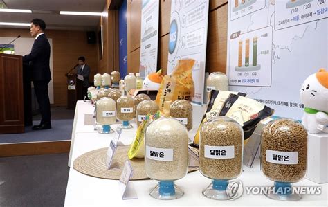 국민과 함께 만든 우리 벼 7년 만에 외래 벼 반 이상 줄여 연합뉴스