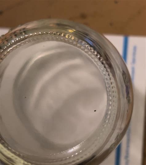 Bedbug Nymph Rbedbugs