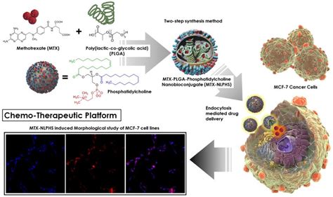 The Figure Depicting The Schematic Representation Of Nanohybrid System Download Scientific