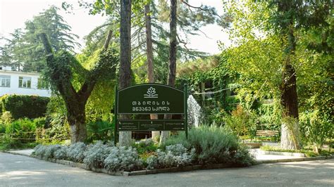 ადრეული აღზრდა მწვანე სკოლა