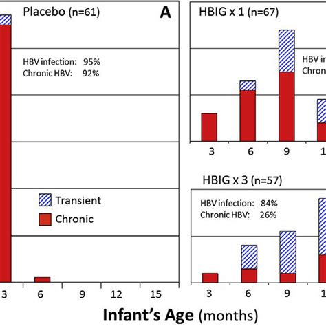 Model Of The Hepatitis B Virus Dane Particle And The Filamentous Or