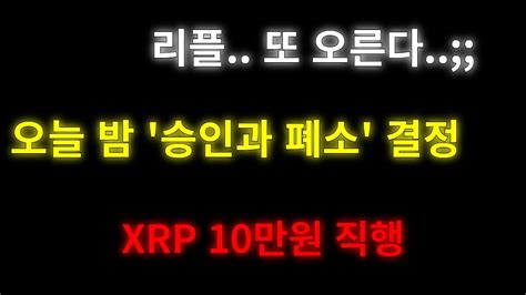 리플 Xrp 오늘 밤 10만원 바로 상승 다음 주는 리플코인 리플전망 리플호재 리플분석 리플대응 리플목표가 Youtube