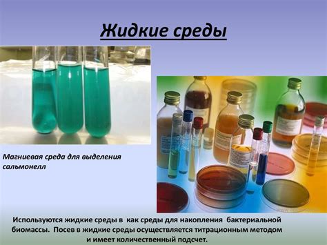 Введение в микробиологию. Физиология бактерий - презентация онлайн