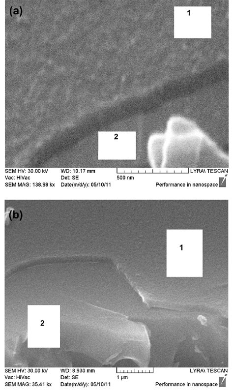 Sem Micrographs On Mgo X Thin Films 1 Film 2 Substrate On Glass