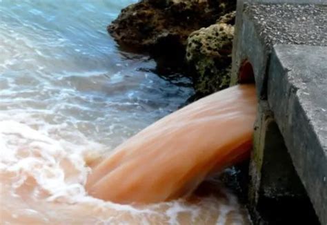 教材拓展：人教版高中化学选择性必修一 化学反应原理 化学自习室（没有学不到的高中化学知识！）