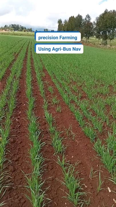 kelvin koome posted on linkedin