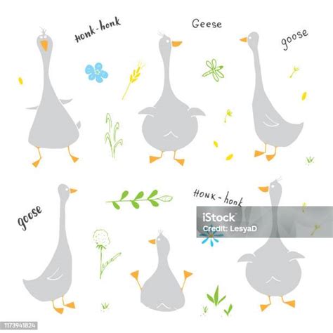 거위 낙서 세트입니다 귀여운 기러기 스케치입니다 흰색 배경에 손으로 그린 만화 벡터 그림 0명에 대한 스톡 벡터 아트 및 기타 이미지 Istock