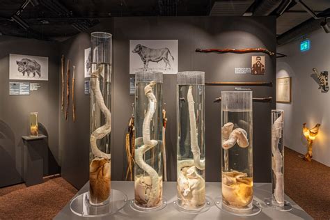 The Top 8 Most Unusual Museums In The World You Have To See To Believe