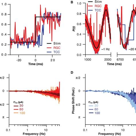 the filtering effect of the thalamic layer comes at the cost of