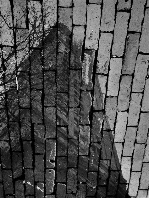 Reflection Series On Behance