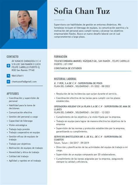 Sofia Cv Pdf Business Economias