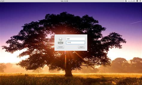 ExLight 64bit Build 171121 Based On Debian Buster Sid With Enlightenment 0 22 Latest