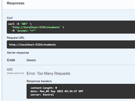 Rate Limiting In NET 6 0
