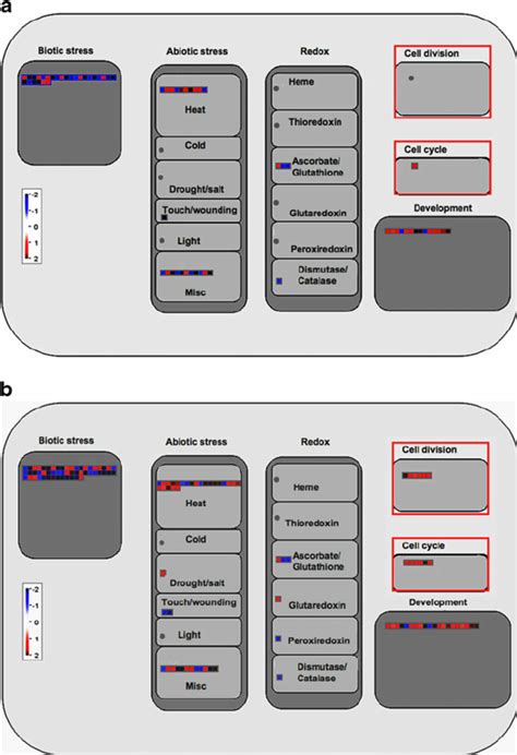 Mapman Based Visualization Of The Transcripts Involved In “ Cellular