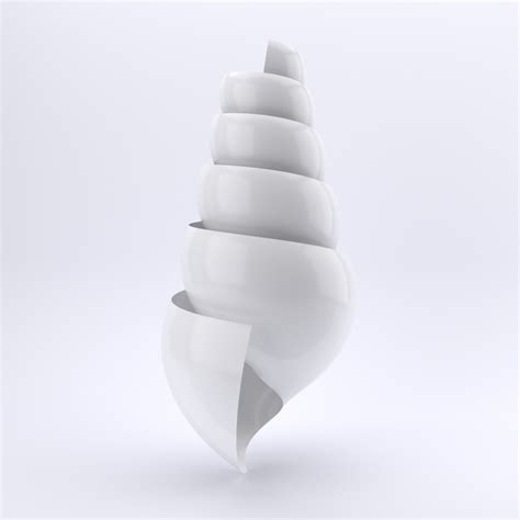 Parametric Shells Marcusvolz Com