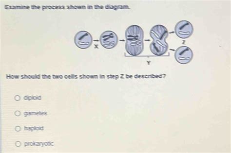 solved examine the process shown in the diagram y how should the