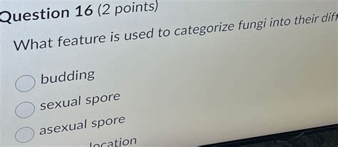 solved question 16 2 ﻿points what feature is used to