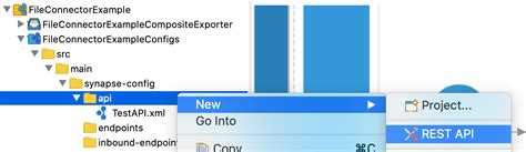 File Connector Example WSO2 API Manager Documentation 4 1 0