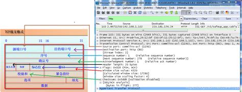 网络分析工具 Wireshark 使用教程（超详细）：含抓包 分析实战，零基础入门到精通wireshark使用教程 Csdn博客