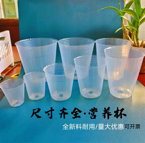 透明育苗营养杯白色塑料营养钵 多肉石斛兰花盆蝴蝶兰透明盆 营养钵多尺寸选择