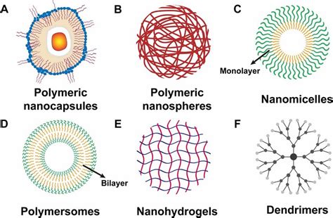 Drug Delivery Nano Systems Based On Polymeric Carriers A Polymeric Download Scientific