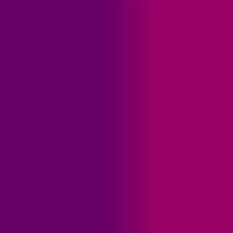 Color Alignment Meditations Lynne Morrell Personal Life Coach