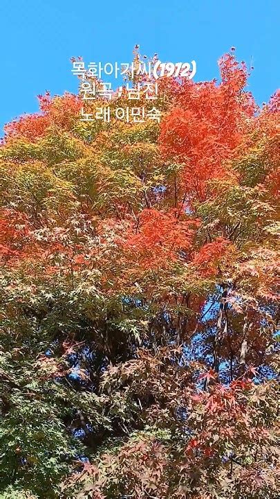 목화따는 아가씨 찔레꽃필떼 Youtube