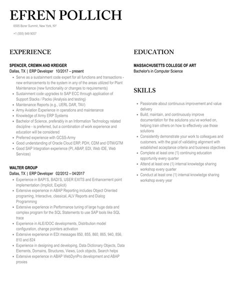 Erp Developer Resume Samples Velvet Jobs
