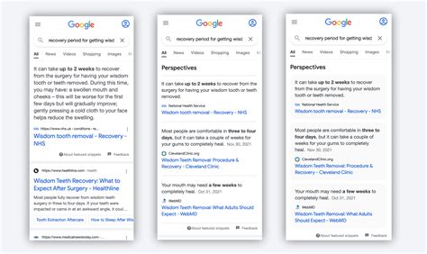 Google Tests New SERP Feature That Gives Searchers Perspectives The Rawr Agency
