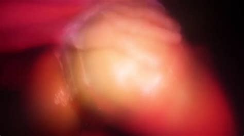 Sex Lubewhite Shirts And Tan Galpzg Eporner