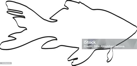 큰 꼬리와 지느러미가있는 물고기의 선 흑백 그림 간판 상점 배너 책 등에 적합합니다 벡터 실루엣 강에 대한 스톡 벡터 아트 및 기타 이미지 Istock