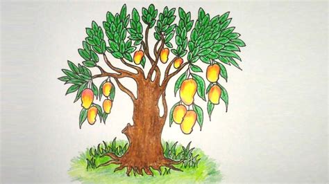 How To Draw A Mango Tree Easy Images And Photos Finder