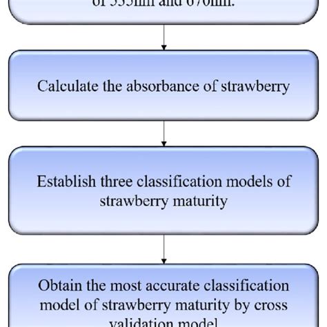 Experimental Step Flow Chart Download Scientific Diagram