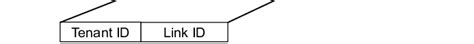 Illustrates The Packet Format That We Design To Realize Vsdn Slicing