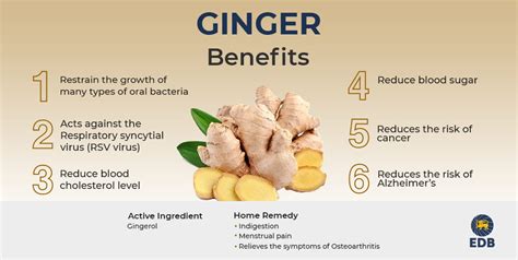 Health Benefits Of Ginger