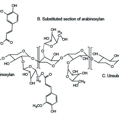 Chemical Molecular Model Of Grass Xylan Molecular Models Of Grass Download Scientific