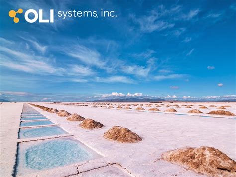 Process Simulation And Modeling Software Water Chemistry Oli Systems Inc Oli Systems Inc