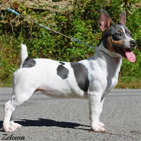 Phillip And Jessica Lovely Youtube