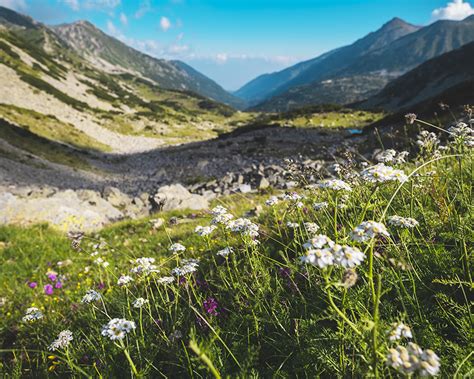 11 декември международният ден на планината Planinka Bg