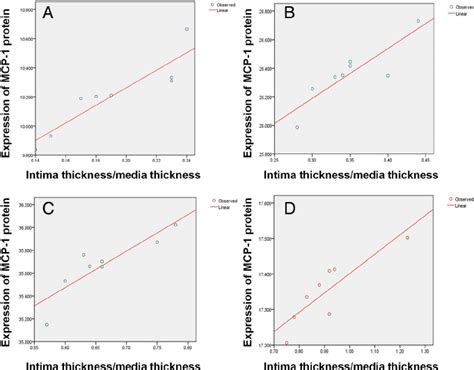 Correlation Between Expressions Of MCP 1 Proteins And Intimal Download Scientific Diagram