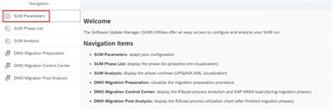 SUM How To Change Parameters Entered In Prepare Phases SAP Basis World