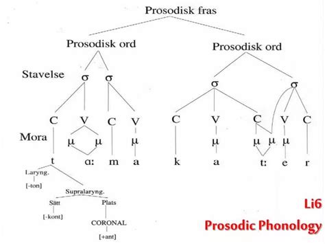 Ppt Li6 Prosodic Phonology Powerpoint Presentation Free Download Id 6786727