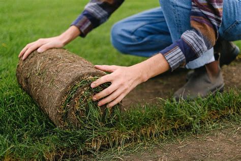 Optimize Soil Preparation First Step For Grass Installation For Lush Lawns EmptyLightHome