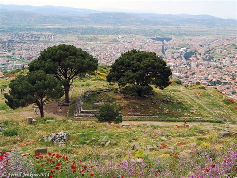 The Altar Of Zeus In The Pergamum Museum Ferrells Travel Blog
