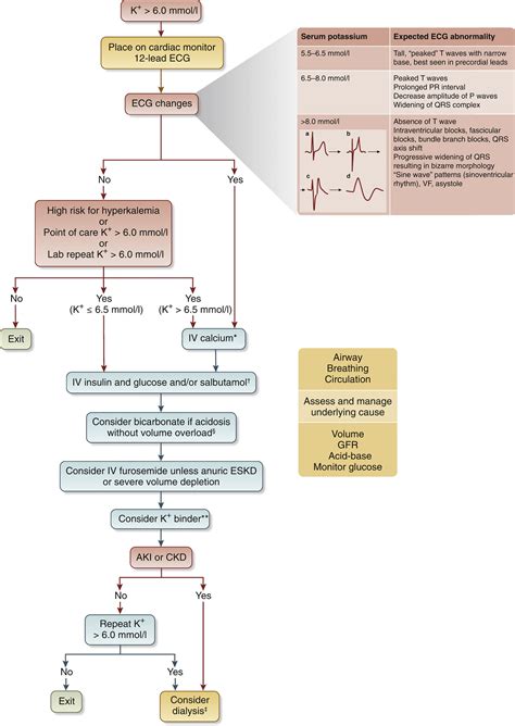 The Heart The Finest Hyperkalemia Treatment Algorithm In