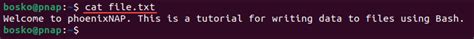 How To Write To File In Bash PhoenixNAP KB