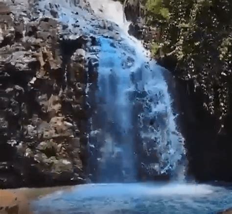 Video Indignaci N En Brasil Por Te Ir R O Para Revelar Sexo De Beb