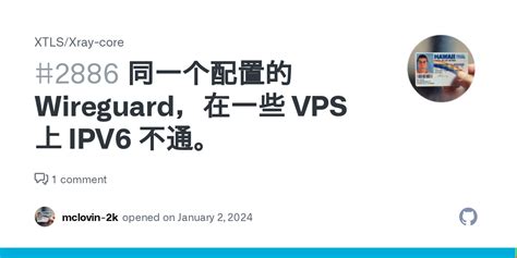 同一个配置的 Wireguard，在一些 Vps 上 Ipv6 不通。 · Issue 2886 · Xtlsxray Core · Github
